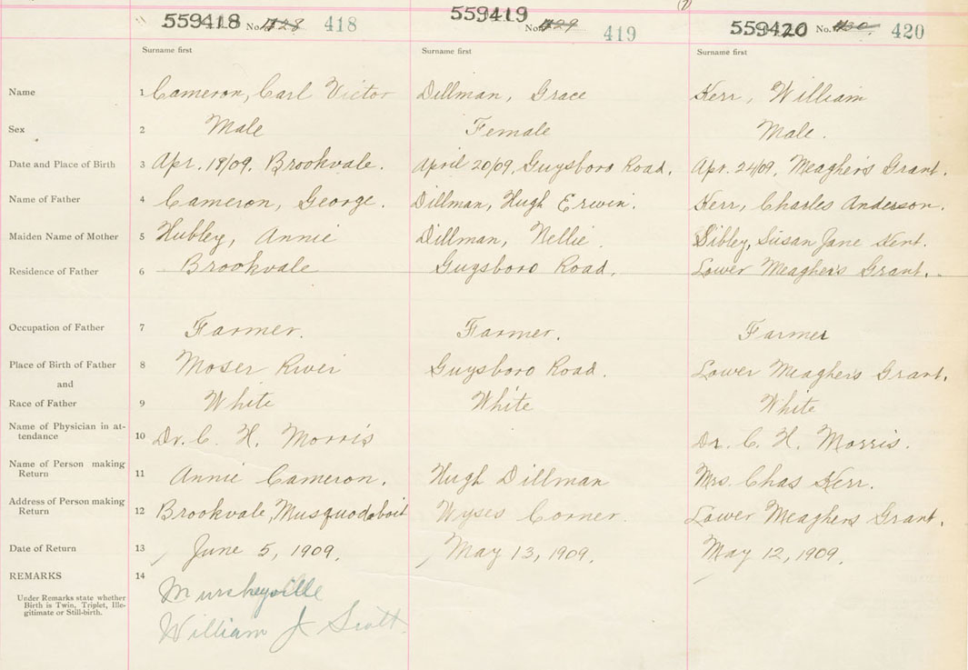 Nova Scotia Archives - Nova Scotia Births, Marriages, and Deaths