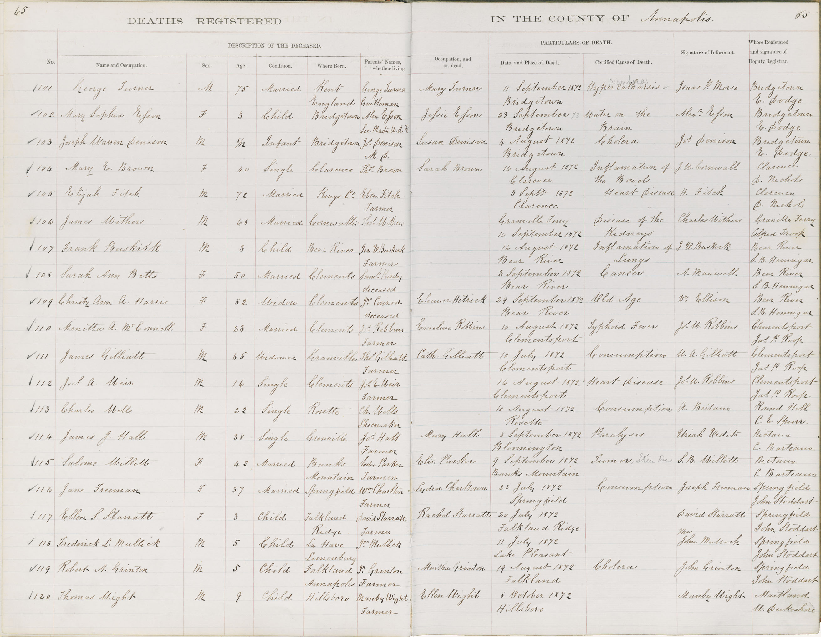 Nova Scotia Archives - Nova Scotia Births, Marriages, and Deaths